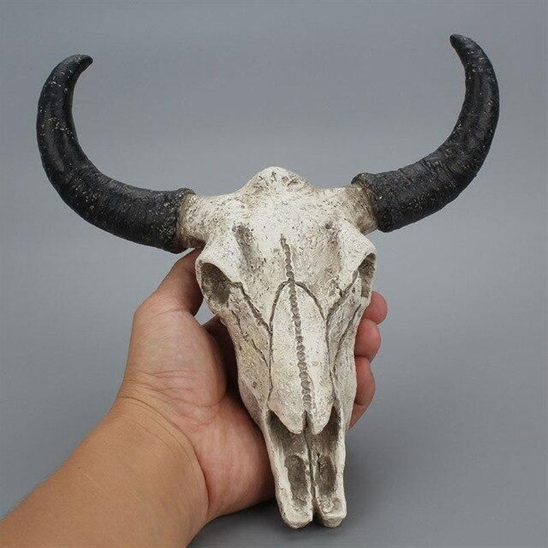 Decoração de caveira de boi – caveira-mexicana.com