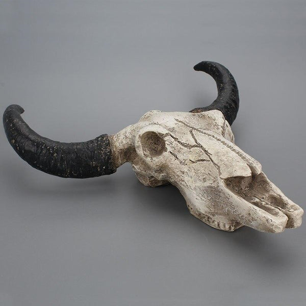 Decoração de caveira de boi – caveira-mexicana.com